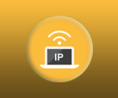 Reverse IP Domain Checker – CoderWell